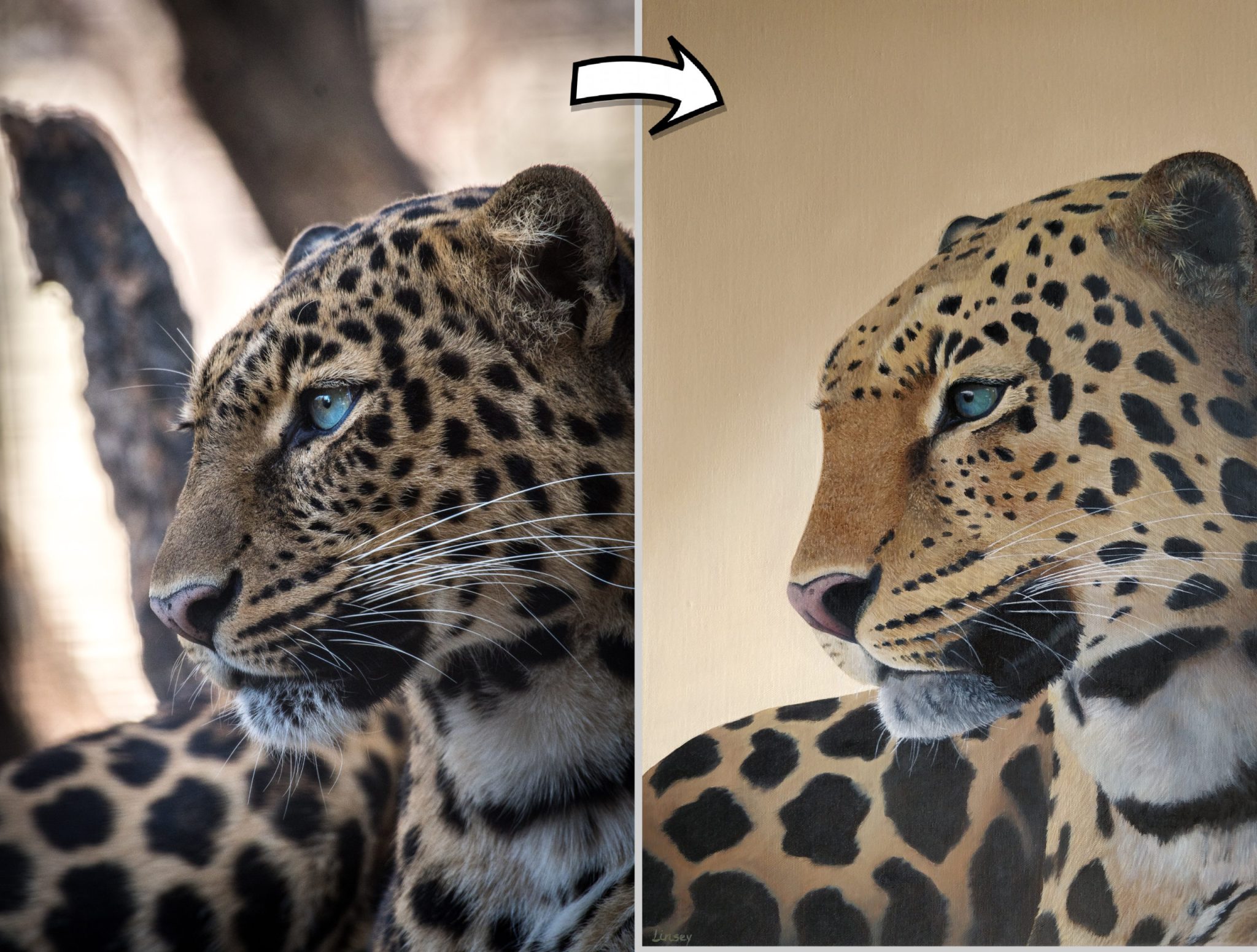 Portrait animalier sur commande - Linsey - portrait animal personnalisé
